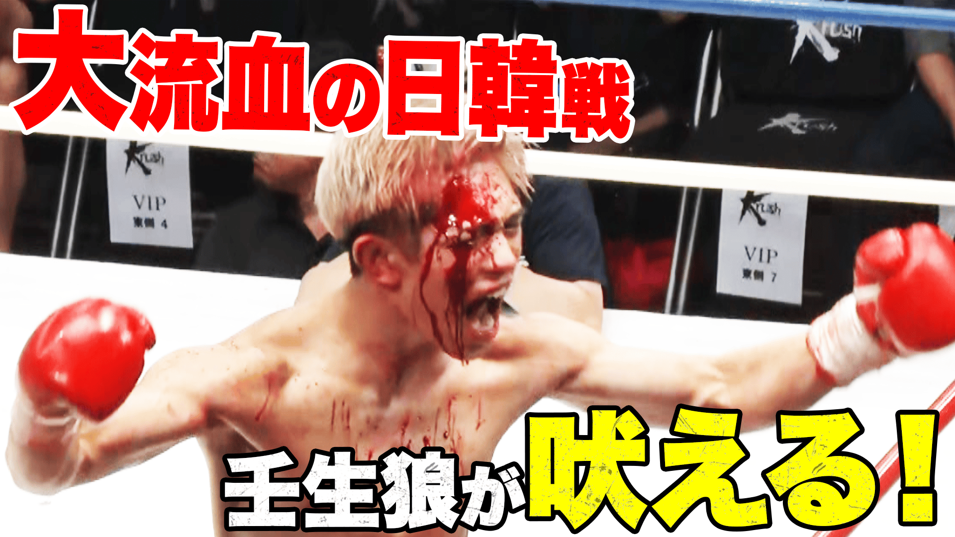 Krush 2023 - 8.27 Krush.152 - 第9試合 壬生狼 一輝 vs パク・ヒョンウ (格闘) | 無料動画・見逃し配信を見るなら | ABEMA