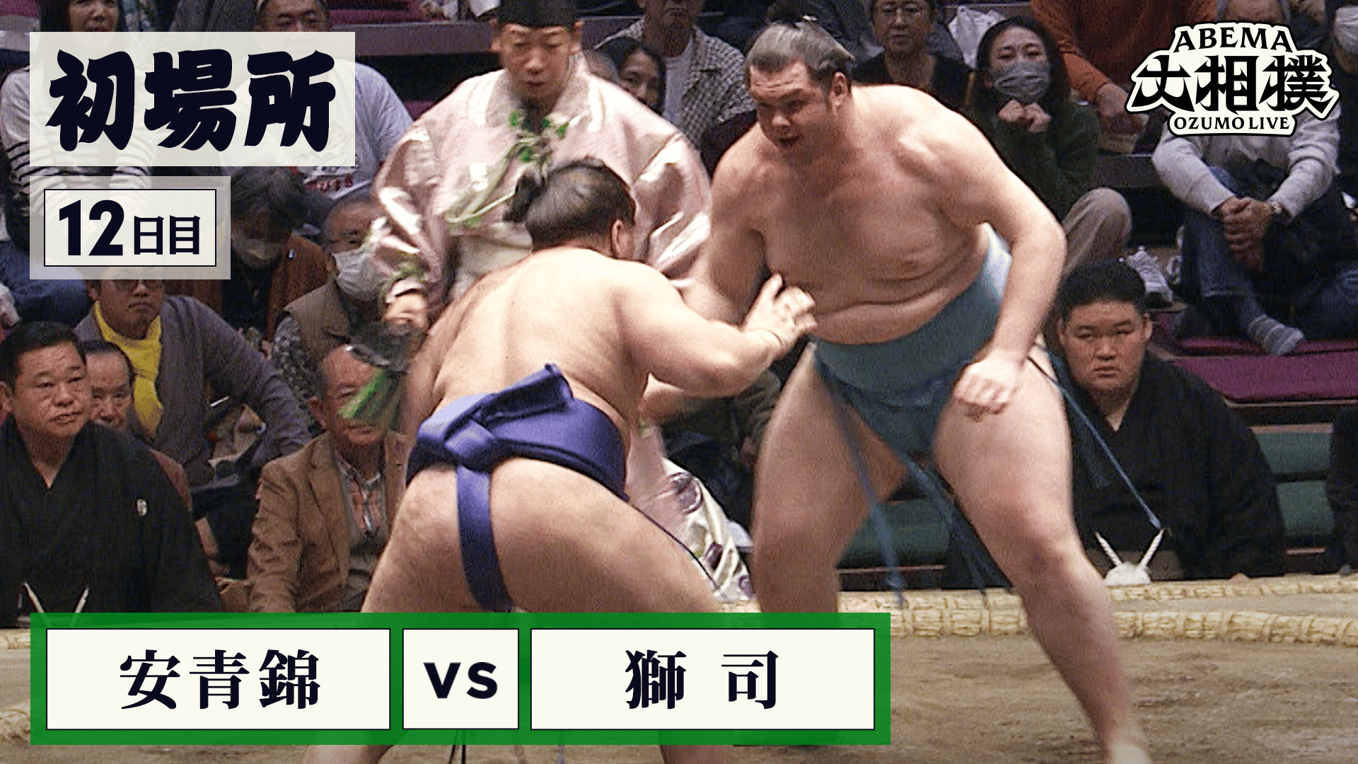 安青錦(十両5) vs 獅司(十両4) - ABEMA大相撲2025 - 注目取組(十両以下) (スポーツ) | 無料動画・見逃し配信を見るなら | ABEMA