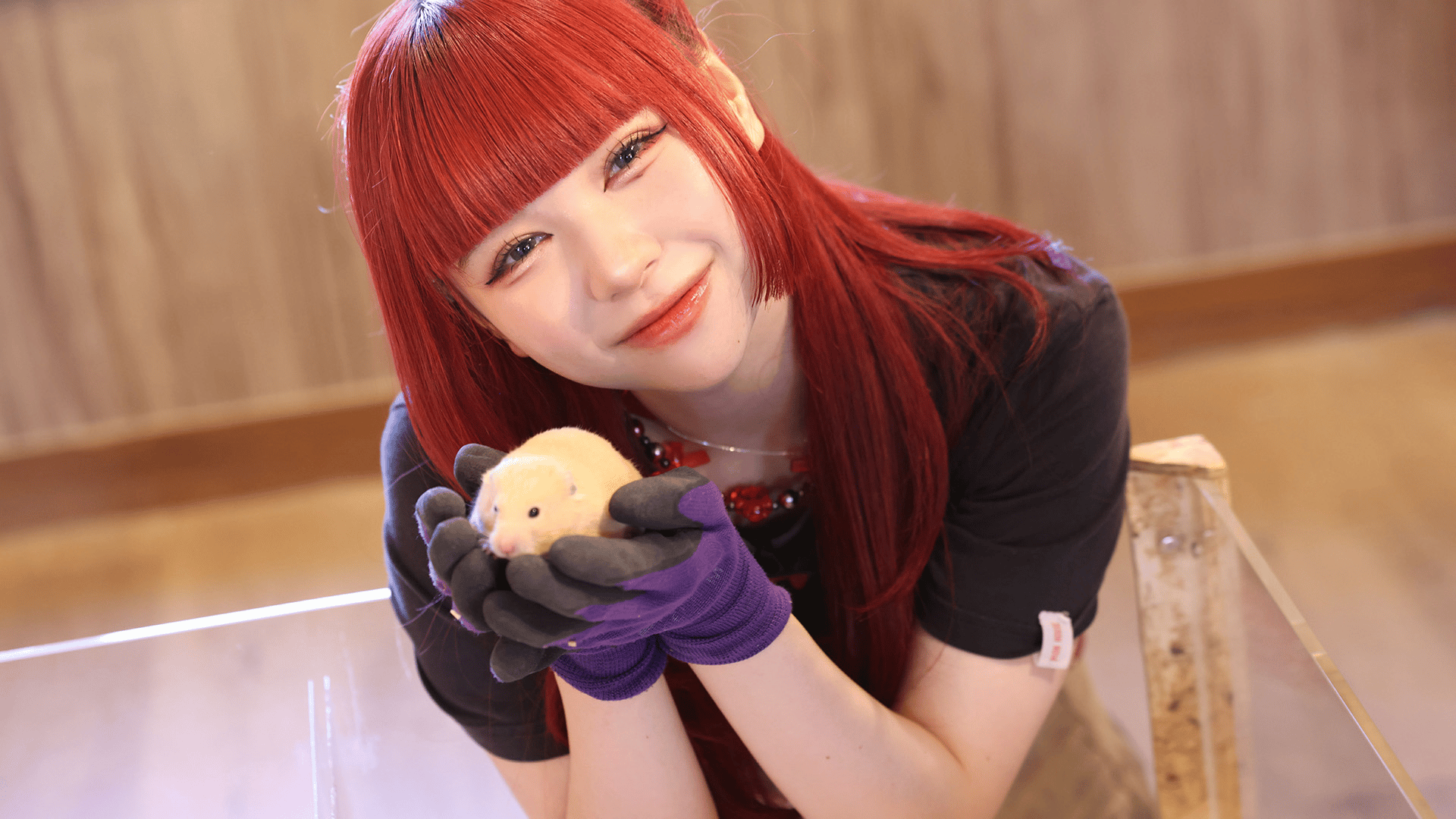 第2回 - AVAMちゃんの虜になあれ - シーズン1 (バラエティ) | 無料動画・見逃し配信を見るなら | ABEMA