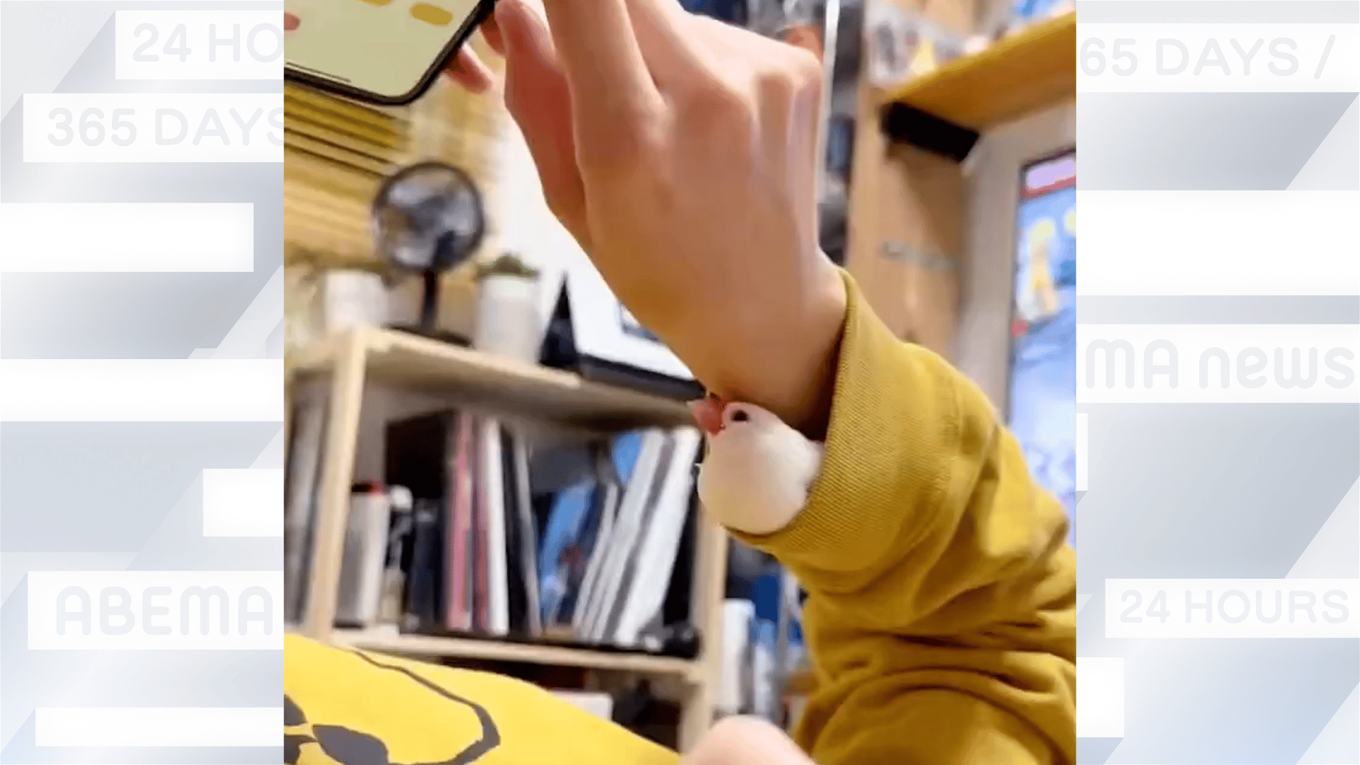 【週刊BUZZ動画】いまバズってる動画をピックアップ! (ニュース) | 無料動画・見逃し配信を見るなら | ABEMA