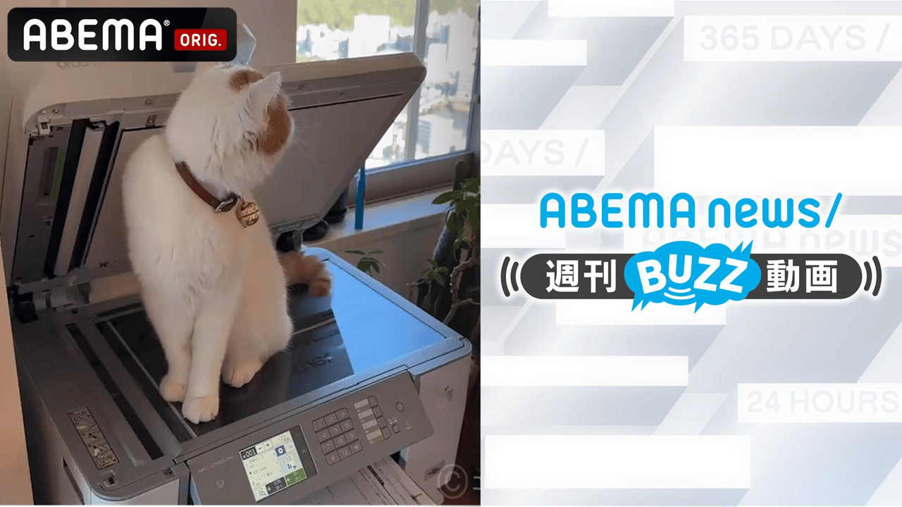 週刊BUZZ動画SPあの動画が1位に？年間ランキング | 新しい未来のテレビ | ABEMA