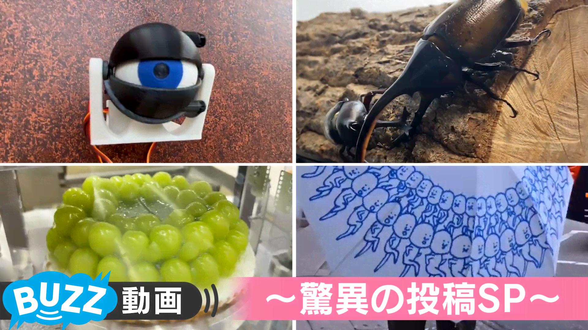 BUZZ動画～驚異の投稿スペシャル～ | 新しい未来のテレビ | ABEMA