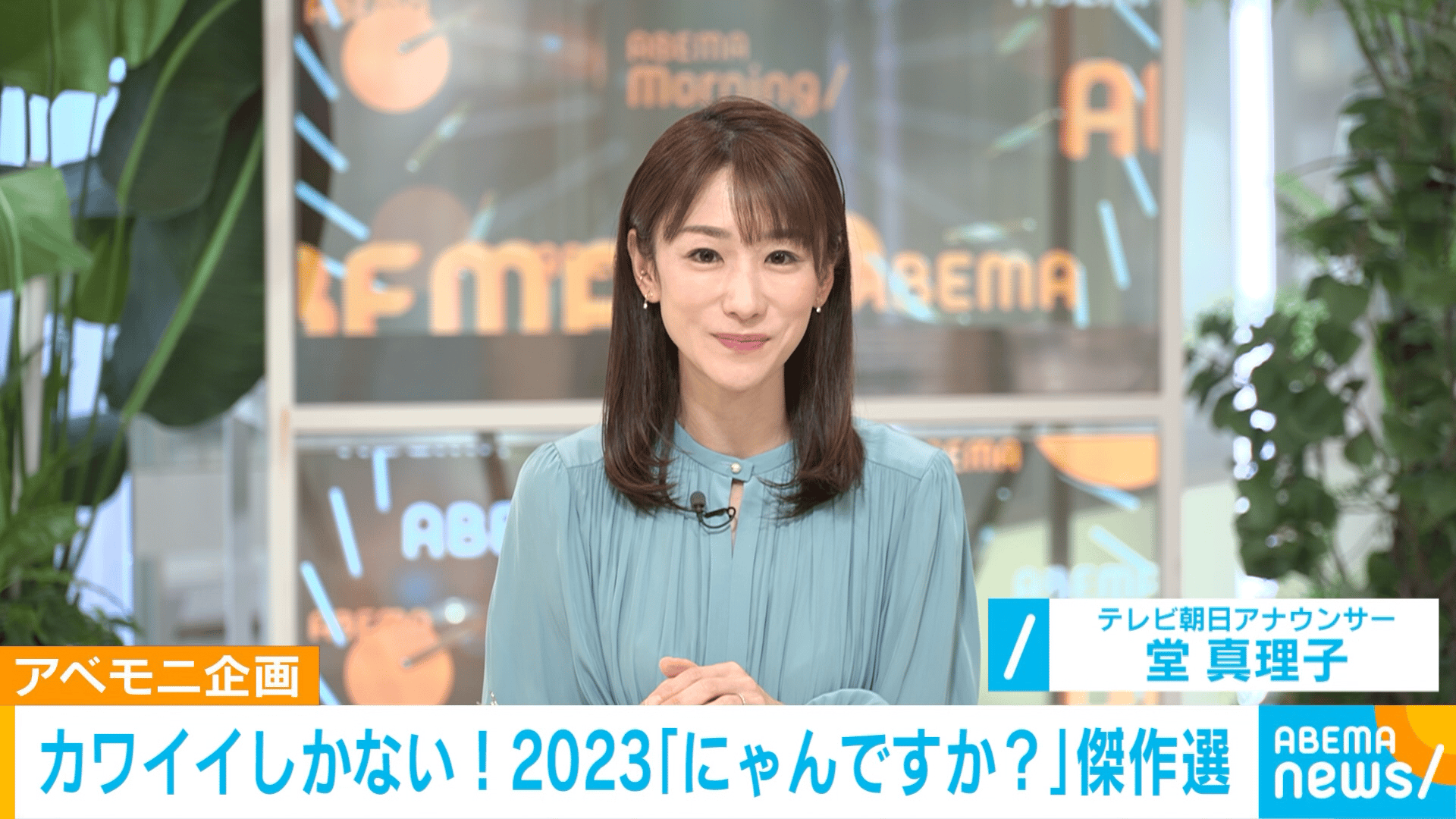 にゃんですか2023傑作選2 - ABEMA Morning【平日あさ7時〜生放送】 - にゃんですか (ニュース) | 無料動画・見逃し配信を見るなら | ABEMA