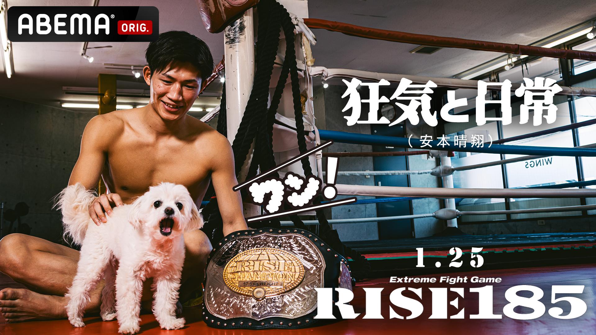 RISE 2025 - 12.14 RISE194 (格闘) | 無料動画・見逃し配信を見るなら | ABEMA