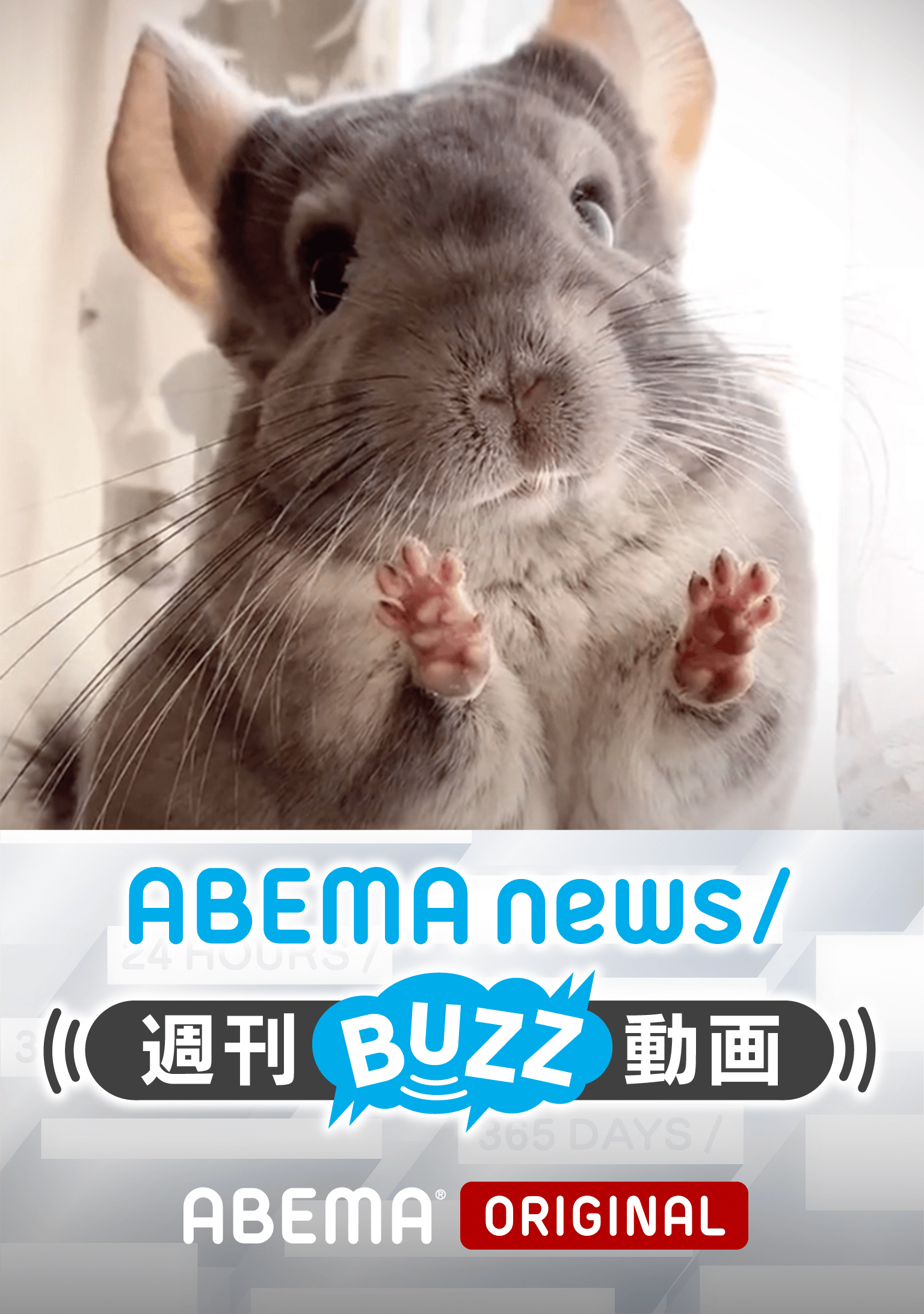 【週刊BUZZ動画】いまバズってる動画をピックアップ! (ニュース) | 無料動画・見逃し配信を見るなら | ABEMA